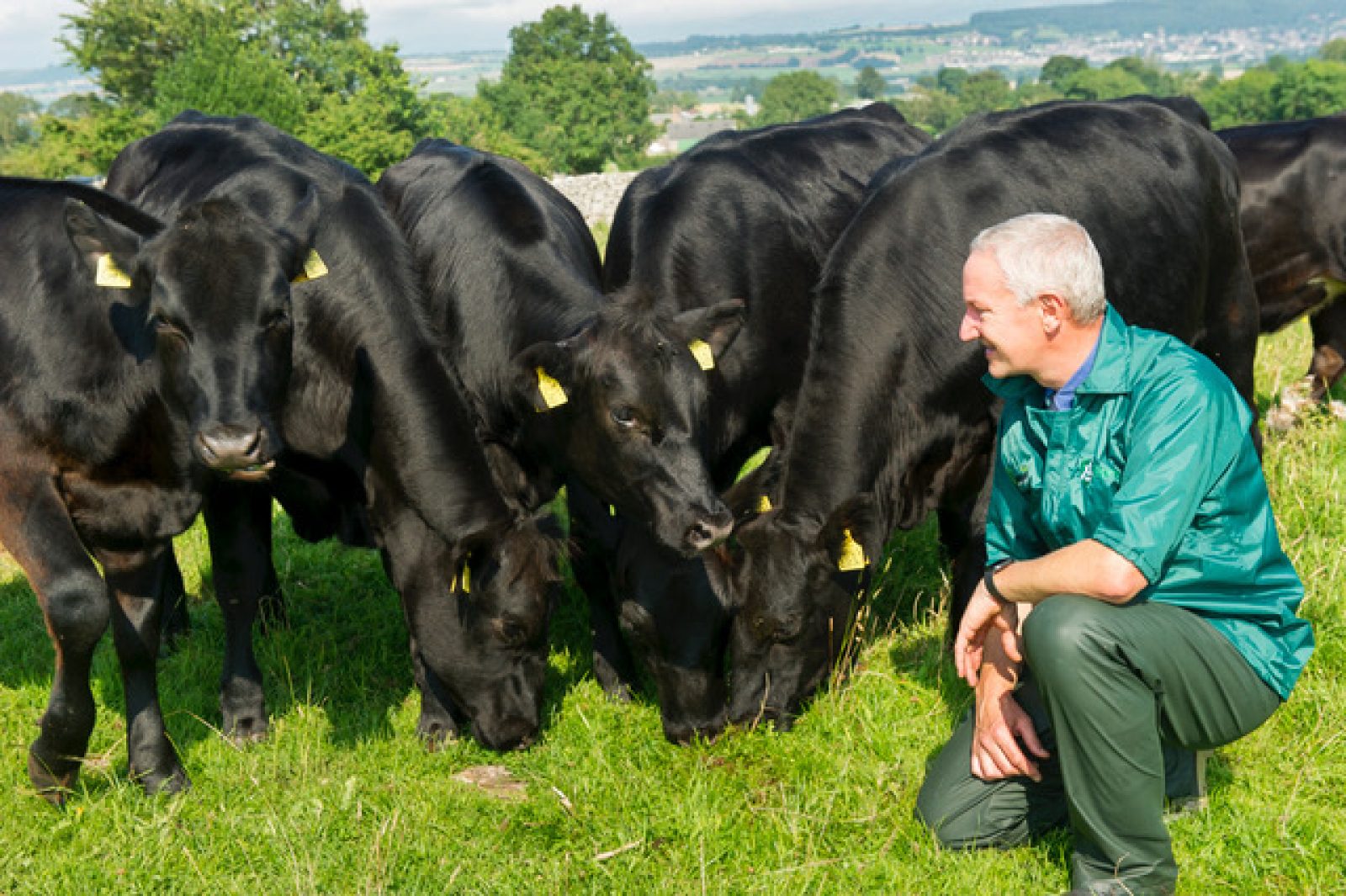 New sustainability resource for farm vets — Vet Sustain