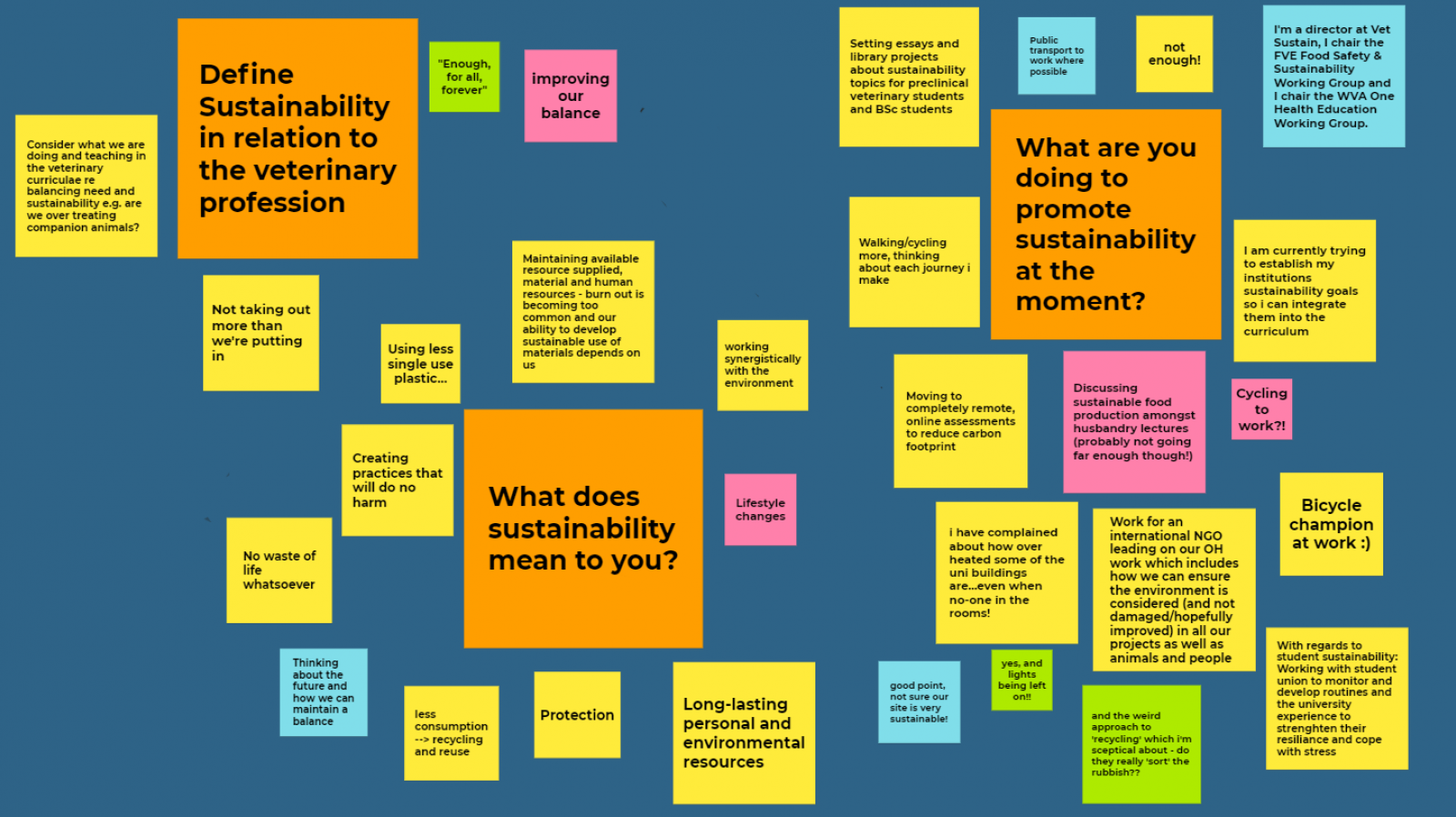 Building a sustainable future veterinary profession through curriculum ...
