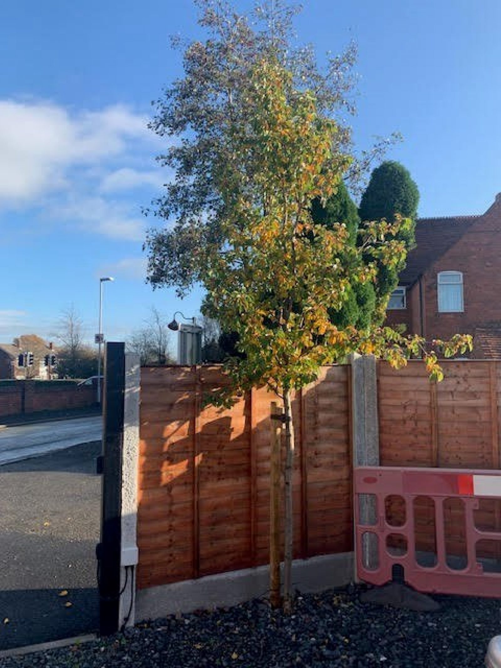 Designing a sustainable veterinary landscape — Vet Sustain